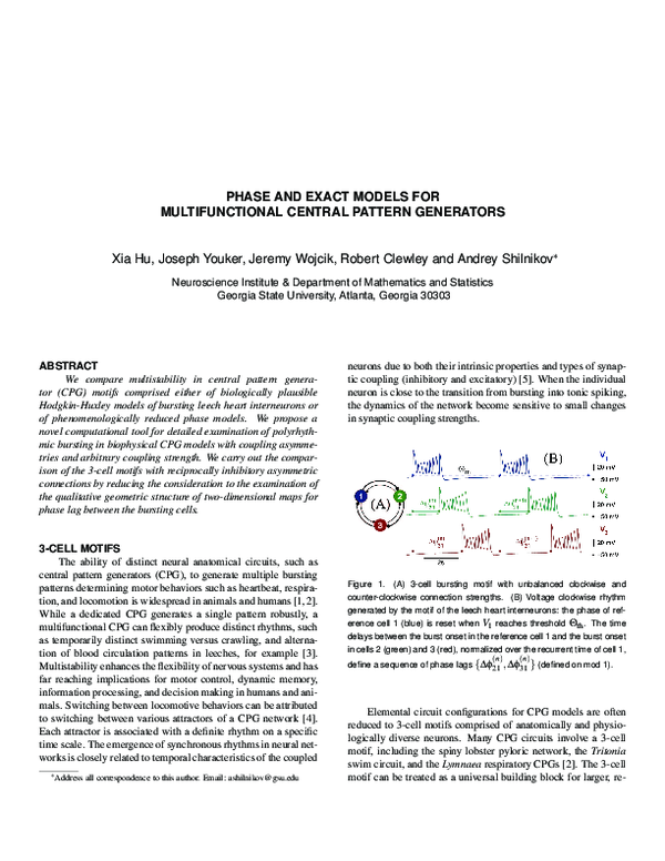 (PDF) PHASE AND EXACT MODELS FOR MULTIFUNCTIONAL CENTRAL PATTERN GENERATORS