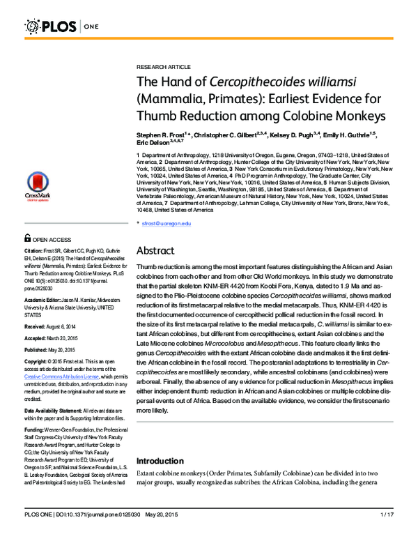 (PDF) The Hand of Cercopithecoides williamsi (Mammalia, Primates ...