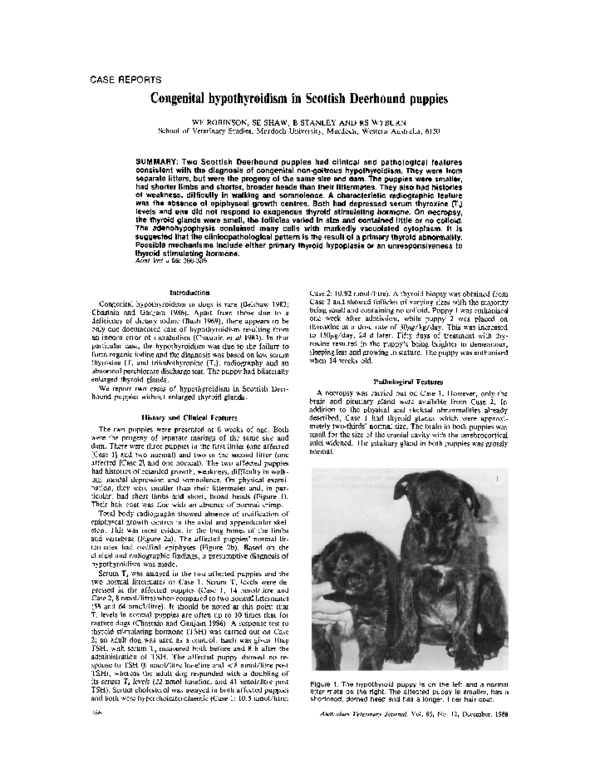 What Is The Normal Thyroid Level In Dogs