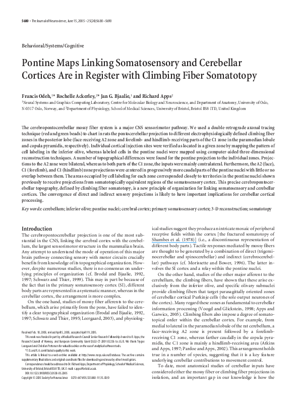 (PDF) Pontine maps linking somatosensory and cerebellar cortices are in ...