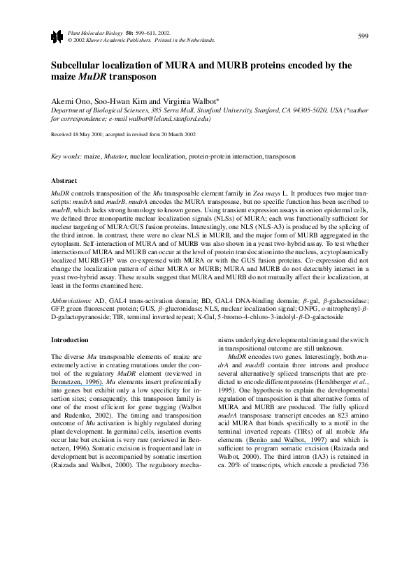 (PDF) Subcellular localization of MURA and MURB proteins encoded by the ...