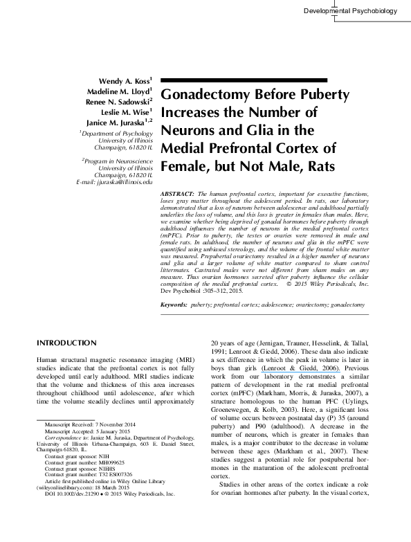(PDF) Gonadectomy before puberty increases the number of neurons and ...