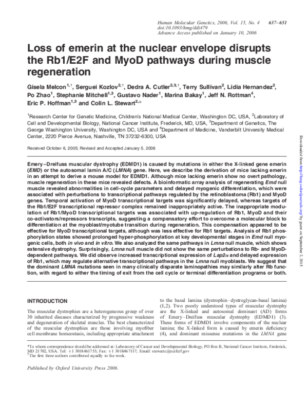 (PDF) Loss of emerin at the nuclear envelope disrupts the Rb1/E2F and ...