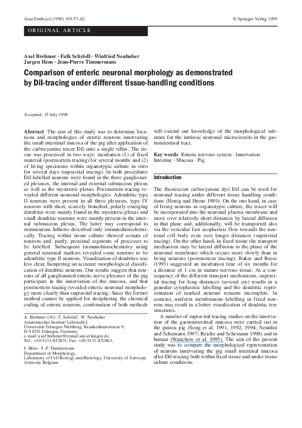(PDF) Comparison of enteric neuronal morphology as demonstrated by DiI ...