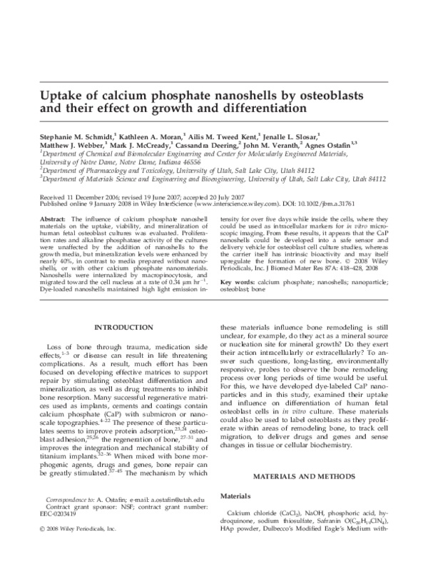 (PDF) Uptake of calcium phosphate nanoshells by osteoblasts and their ...