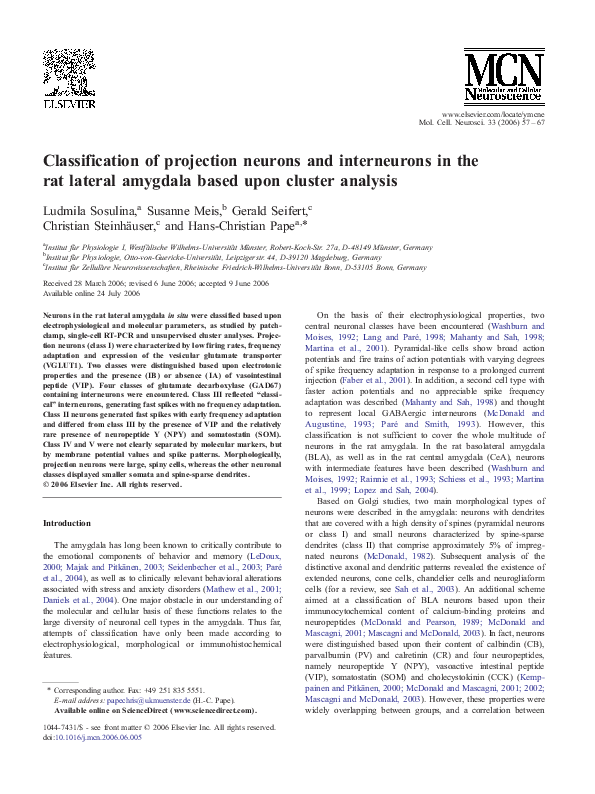 (PDF) Classification of projection neurons and interneurons in the rat lateral amygdala based ...