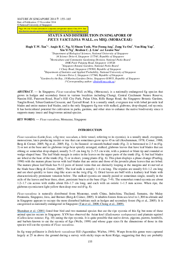 (PDF) STATUS AND DISTRIBUTION IN SINGAPORE OF FICUS VASCULOSA WALL. ex ...