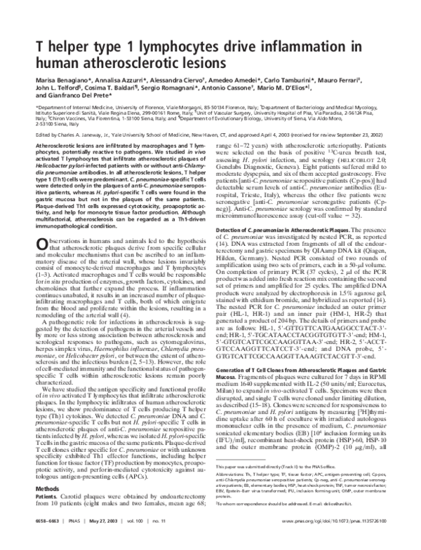 (PDF) T helper type 1 lymphocytes drive inflammation in human ...