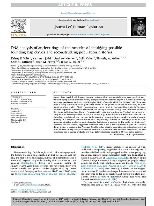 (PDF) DNA analysis of ancient dogs of the Americas: Identifying ...