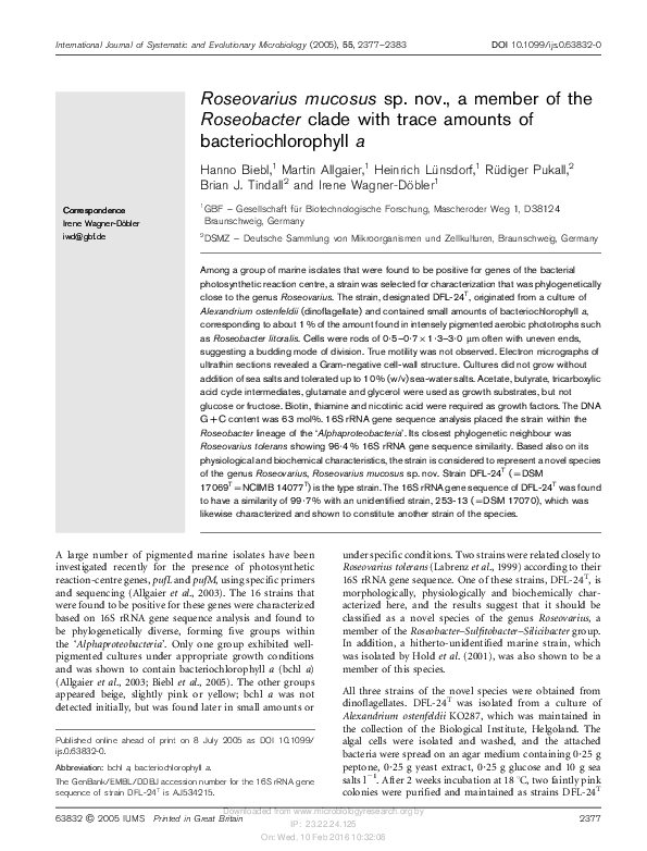 (PDF) Roseovarius mucosus sp. nov., a member of the Roseobacter clade ...