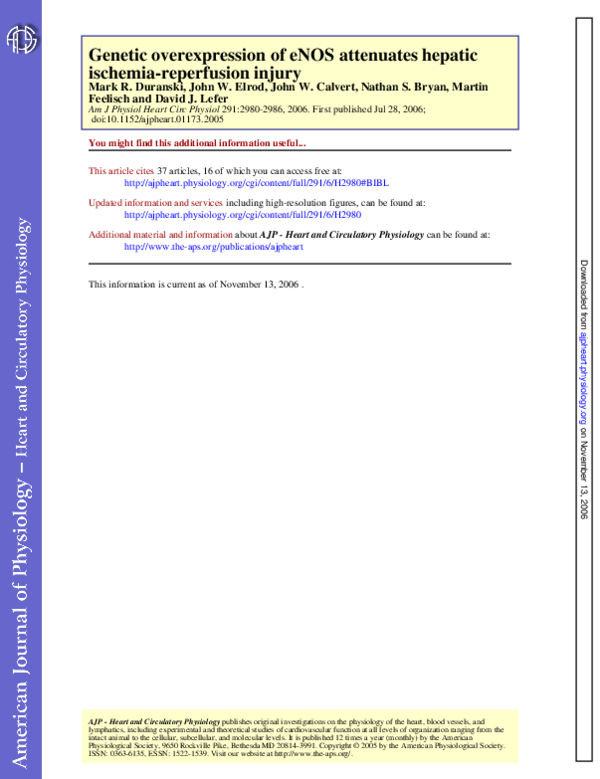 (PDF) Genetic overexpression of eNOS attenuates hepatic ischemia ...