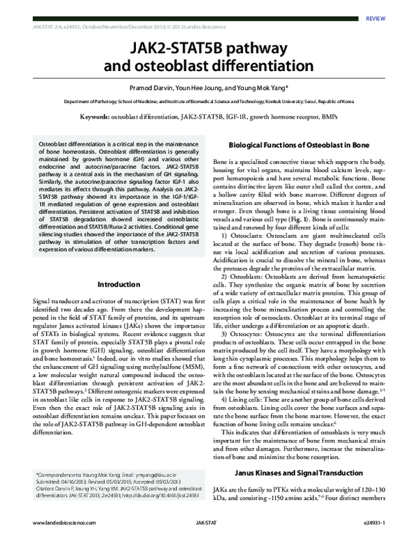 (PDF) JAK2-STAT5B pathway and osteoblast differentiation