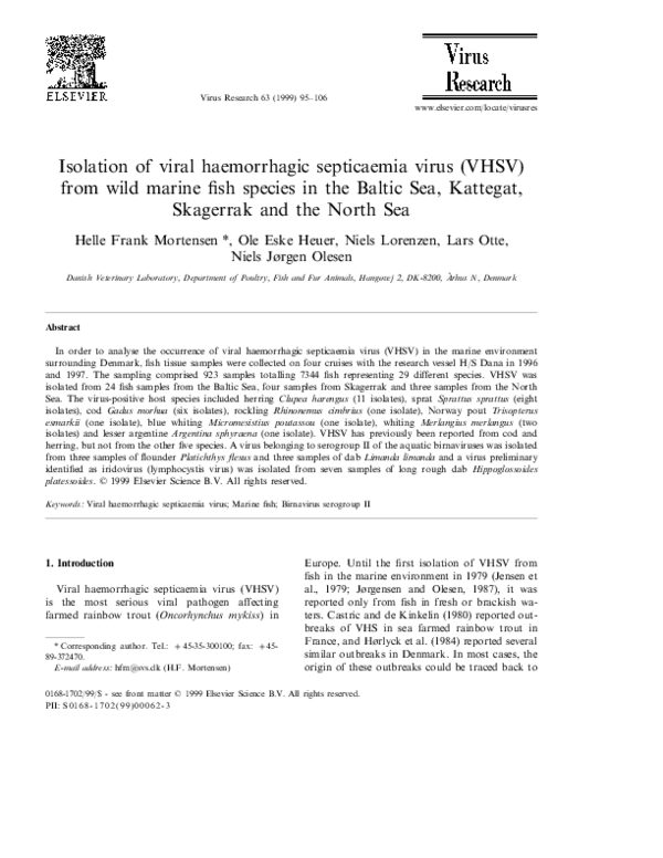 (PDF) Isolation of viral haemorrhagic septicaemia virus (VHSV) from ...