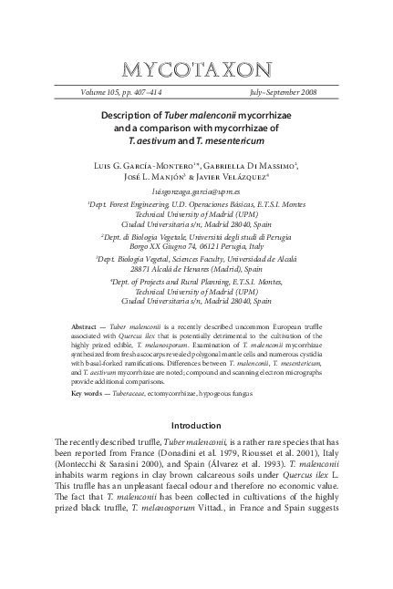 (PDF) Description of Tuber malenconii mycorrhizae and a comparison with ...