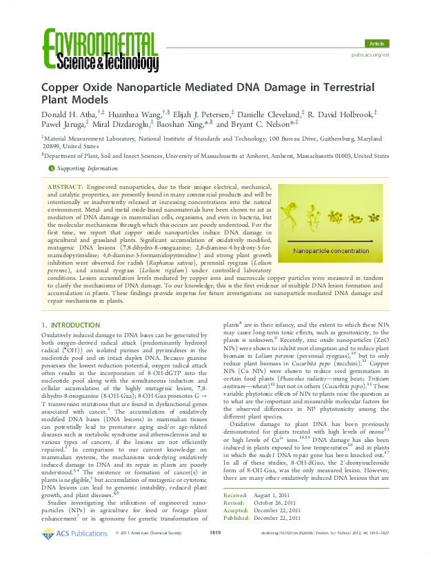 (PDF) Copper Oxide Nanoparticle Mediated DNA Damage in Terrestrial ...