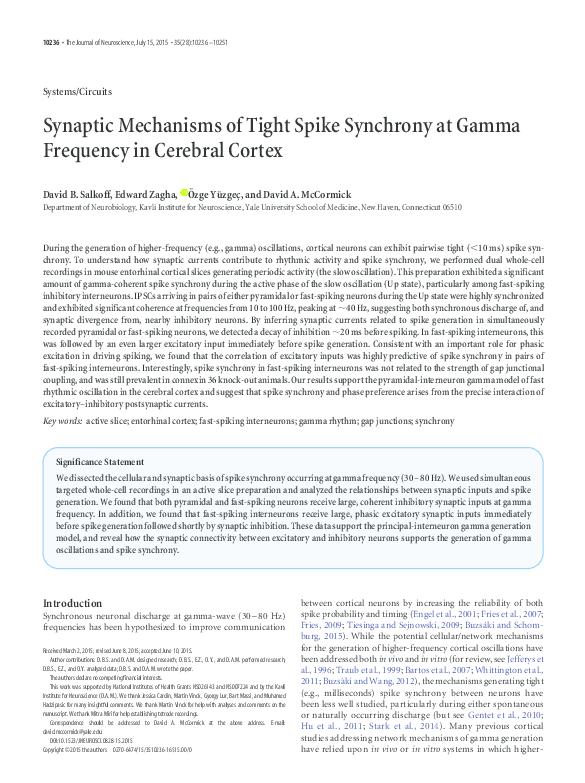(PDF) Synaptic Mechanisms of Tight Spike Synchrony at Gamma Frequency ...