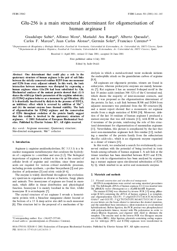 (PDF) Glu-256 is a main structural determinant for oligomerisation of ...