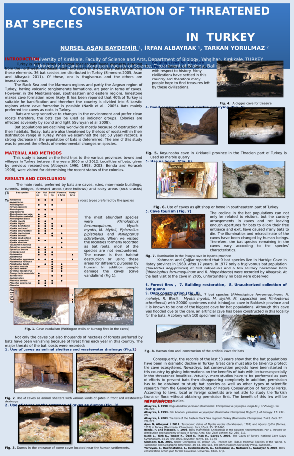 (PPT) Conservation of Threatened Bat Species in Turkey
