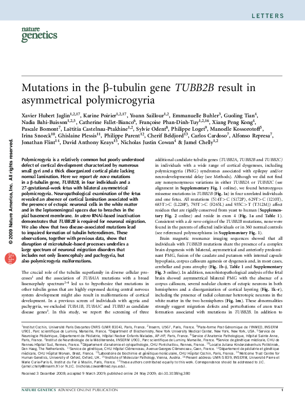 (PDF) Mutations in the beta-tubulin gene TUBB2B result in asymmetrical ...