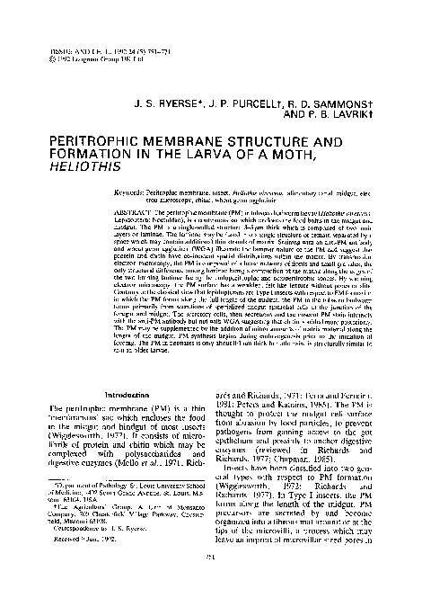 (PDF) Peritrophic membrane structure and formation in the larva of a ...