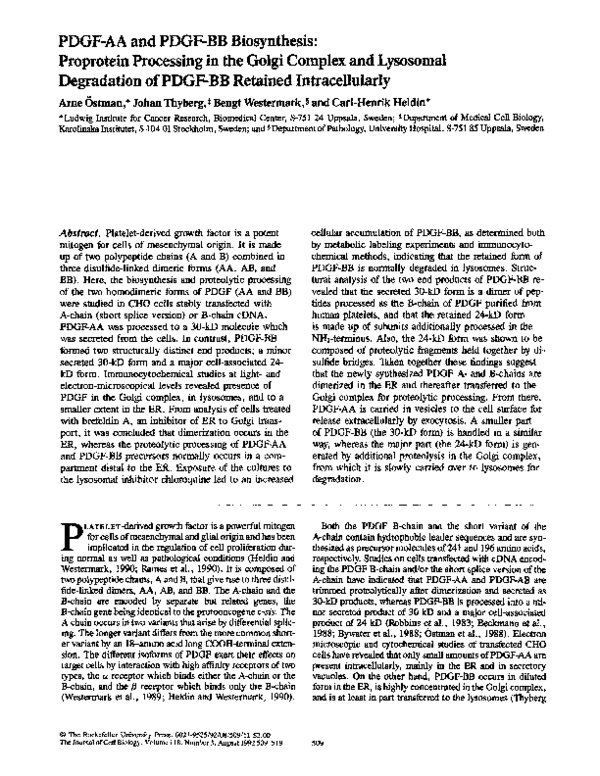 (PDF) PDGF-AA and PDGF-BB biosynthesis: proprotein processing in the ...