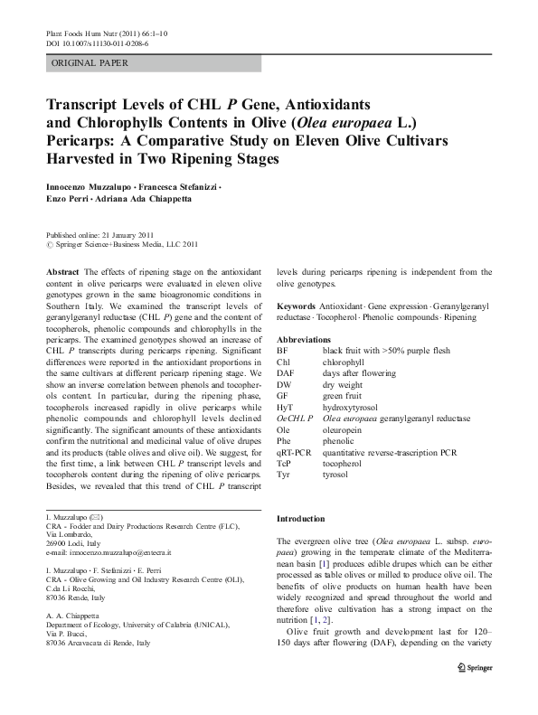 (PDF) Transcript Levels of CHL P Gene, Antioxidants and Chlorophylls ...