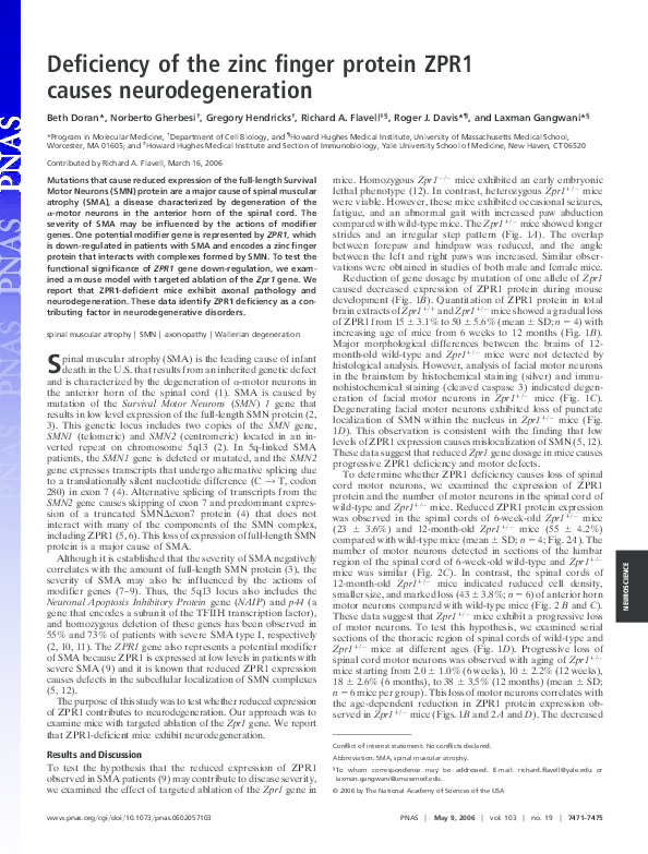 (PDF) Deficiency of the zinc finger protein ZPR1 causes neurodegeneration