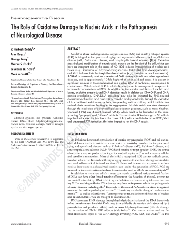 (PDF) The Role of Oxidative Damage to Nucleic Acids in the Pathogenesis ...