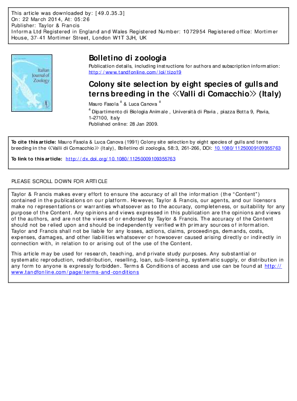 (PDF) Colony site characteristics of sympatric breeding tern species on ...