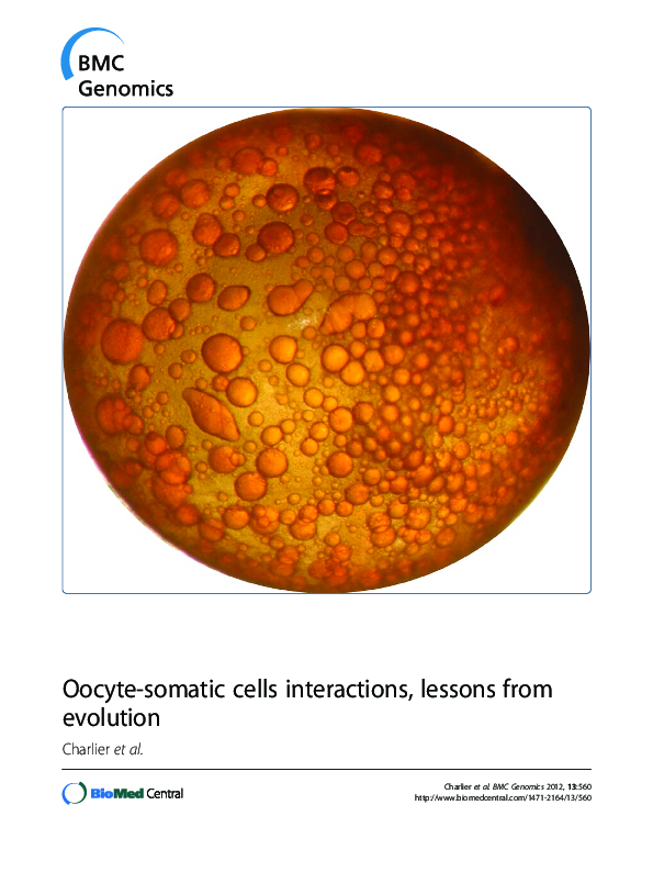 (PDF) Oocyte-somatic cells interactions, lessons from evolution