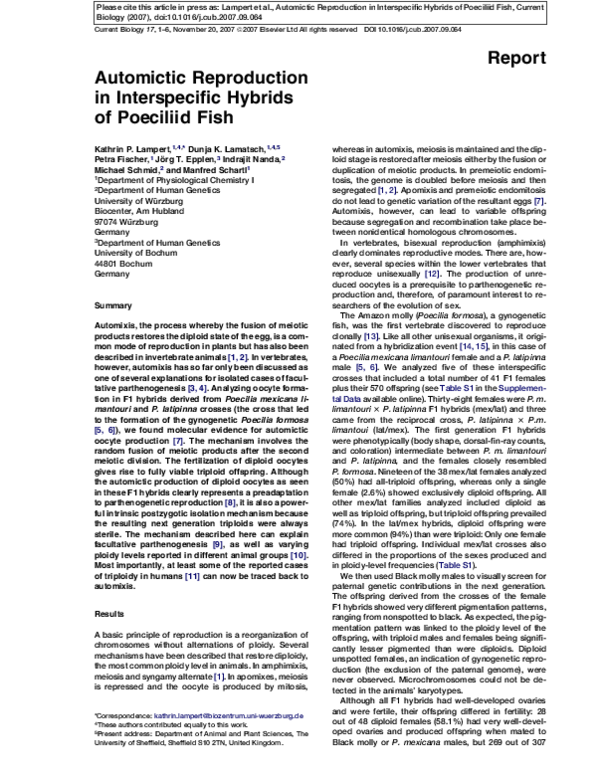 (PDF) Automictic Reproduction in Interspecific Hybrids of Poeciliid Fish