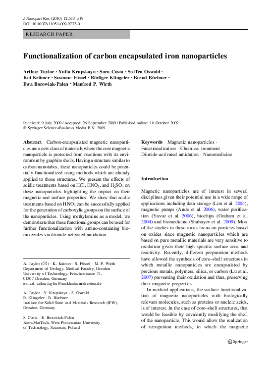 (PDF) Functionalization of carbon encapsulated iron nanoparticles