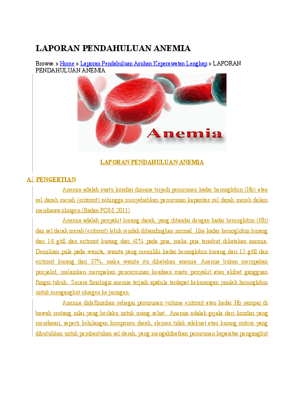 (DOC) LAPORAN PENDAHULUAN ANEMIA