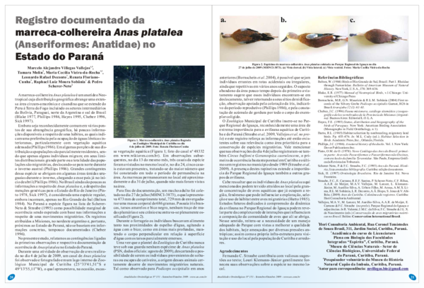 (PDF) Registro documentado da (Anseriformes: Anatidae) no marreca ...