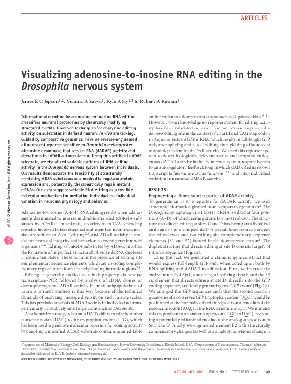 (PDF) Visualizing adenosine-to-inosine RNA editing in the Drosophila ...