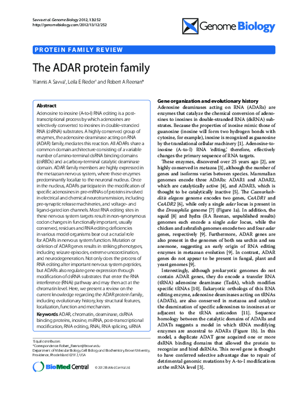 (PDF) The ADAR protein family
