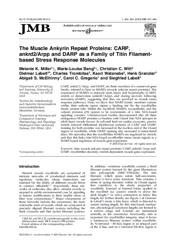 (PDF) The Muscle Ankyrin Repeat Proteins: CARP, ankrd2/Arpp and DARP as ...