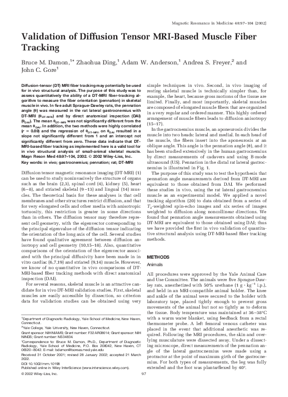 (PDF) Validation of diffusion tensor MRI-based muscle fiber tracking