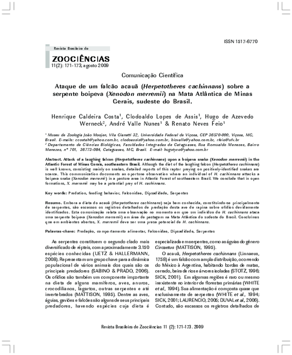 (PDF) Ataque de um falcão acauã (Herpetotheres cachinnans) sobre a ...
