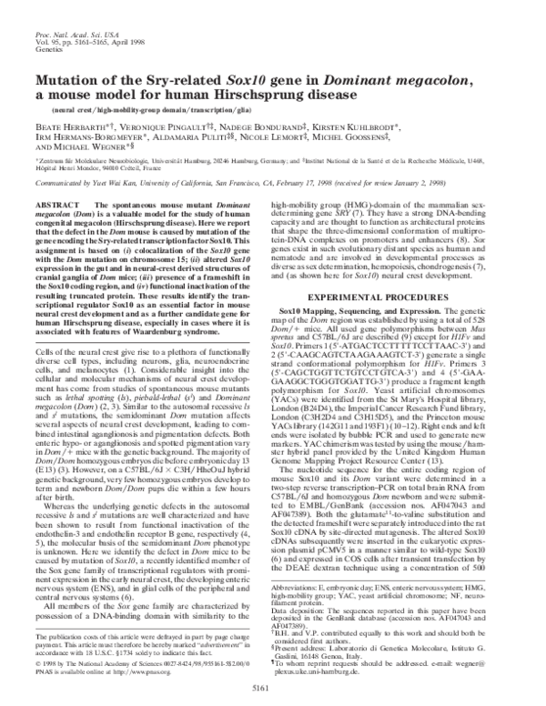 (PDF) Mutation of the Sry-related Sox10 gene in Dominant megacolon, a ...