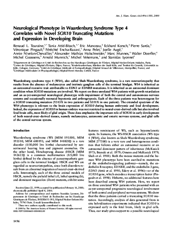(PDF) Neurological Phenotype in Waardenburg Syndrome Type 4 Correlates ...
