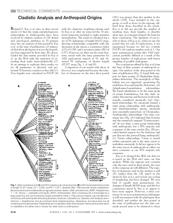 (PDF) Cladistic Analysis and Anthropoid Origins