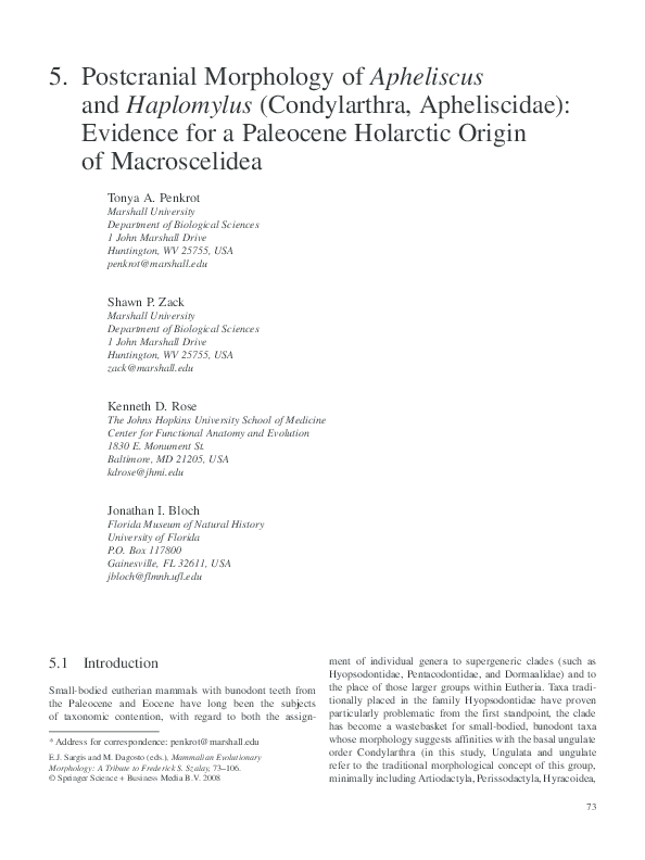 (PDF) Postcranial morphology of Apheliscus and Haplomylus (Condylarthra ...