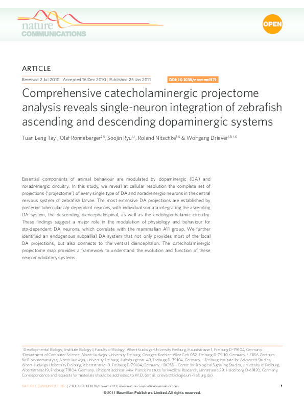(PDF) Comprehensive catecholaminergic projectome analysis reveals ...