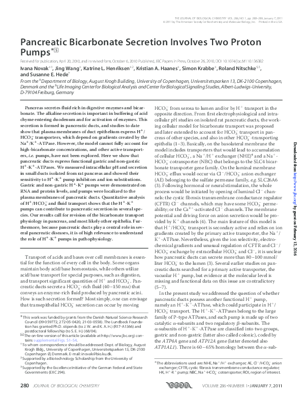 (PDF) Pancreatic Bicarbonate Secretion Involves Two Proton Pumps
