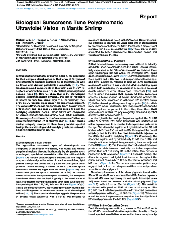 (PDF) Biological Sunscreens Tune Polychromatic Ultraviolet Vision in ...