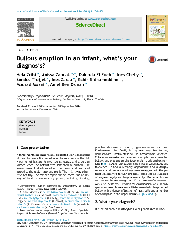(PDF) Bullous eruption in an infant, what's your diagnosis?