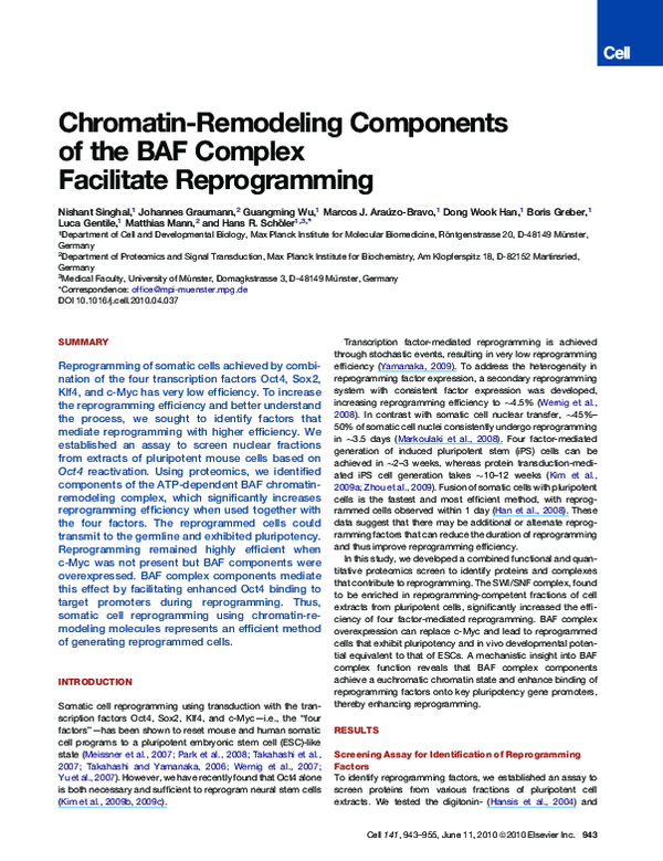 (PDF) Chromatin-Remodeling Components of the BAF Complex Facilitate ...