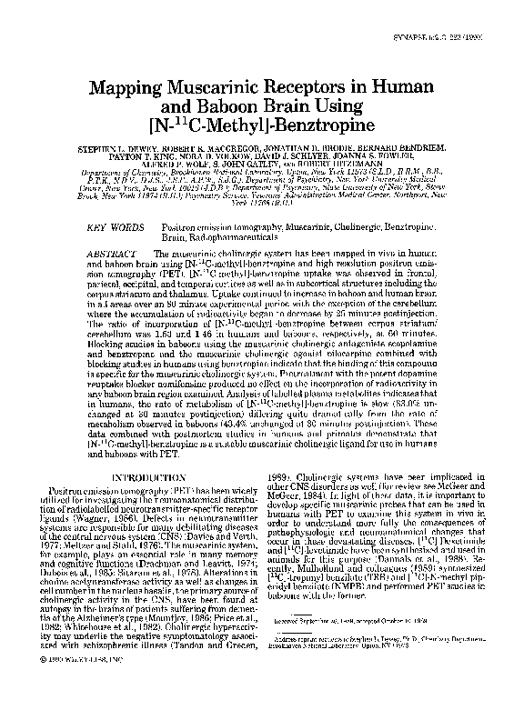 (PDF) Mapping muscarinic receptors in human and baboon brain using [N ...