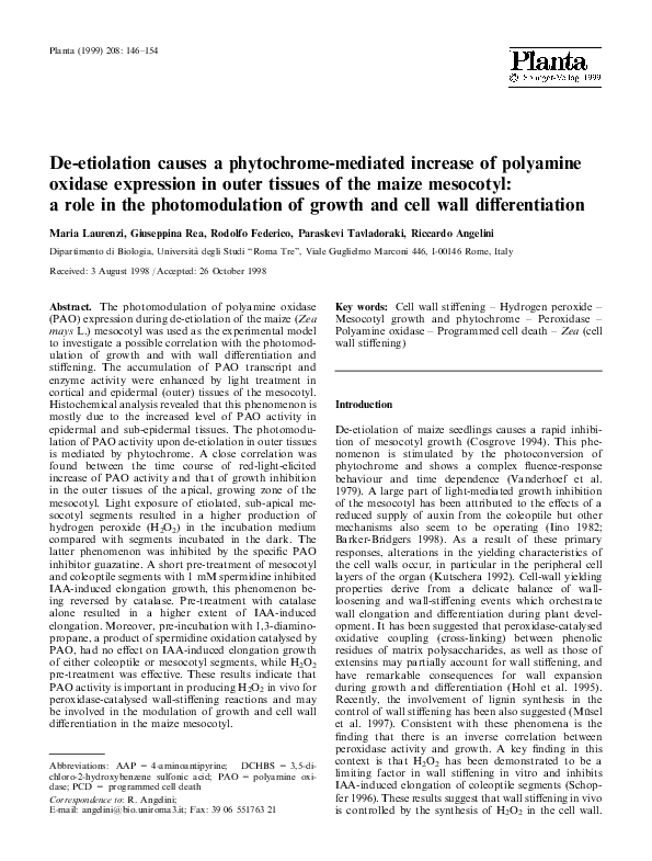 (PDF) De-etiolation causes a phytochrome-mediated increase of polyamine ...